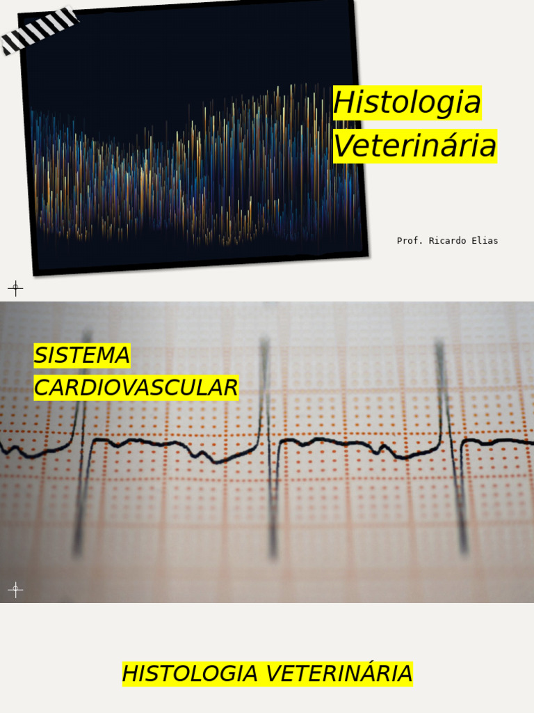 Aula HV Cardiovascular | PDF