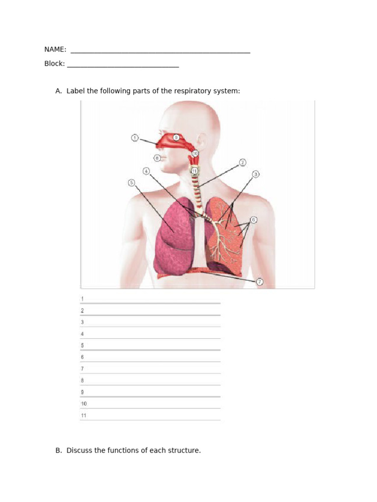 Respi-Assignment-1 | PDF