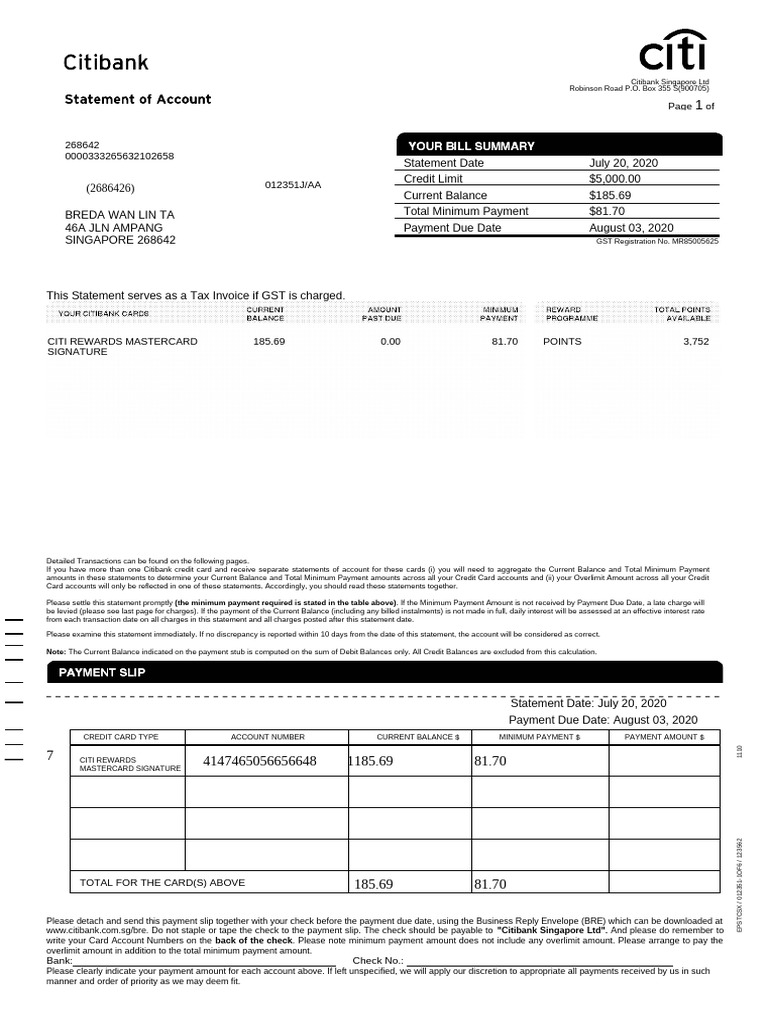163 Citibank | PDF | Credit Card | Visa Inc.