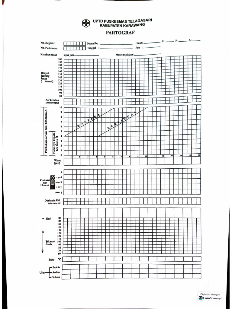 Partograf Kosong | PDF