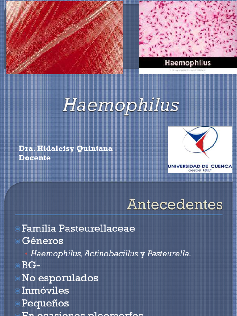 8 Haemophilus Inf y H Ducreyi | PDF