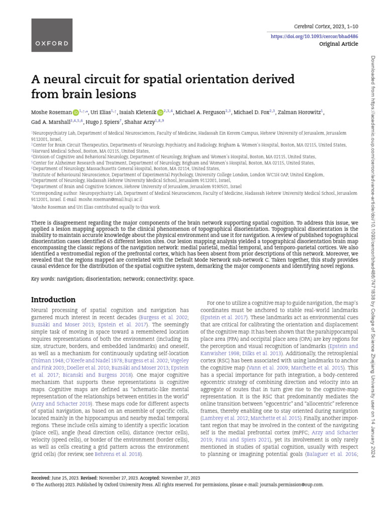 A Neural Circuit for Spatial Orientation Derived From Brain Lesions | PDF