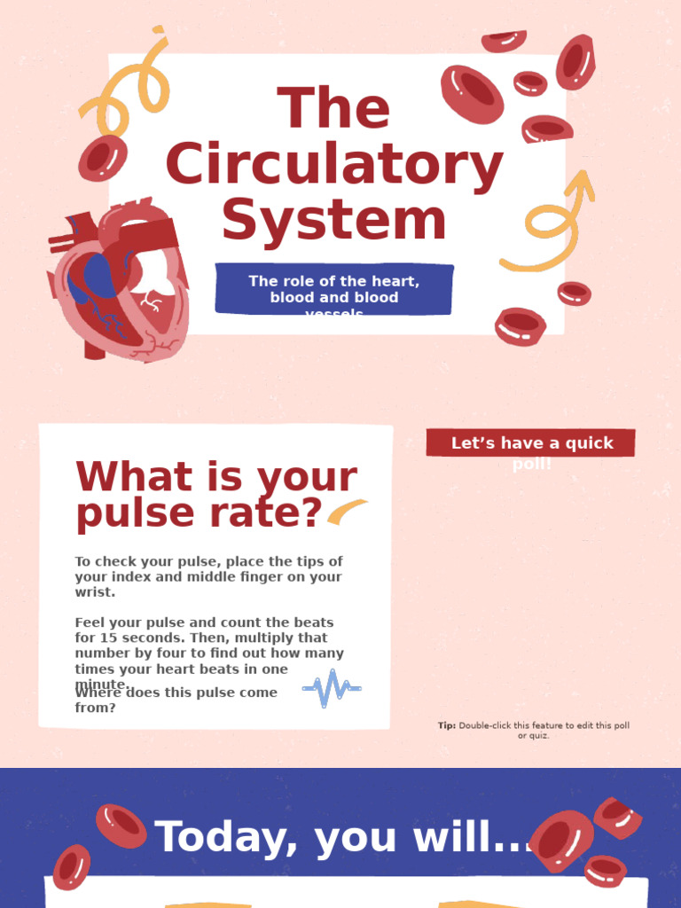 The Circulatory System Education Presentation in Peach Red Blue Hand ...