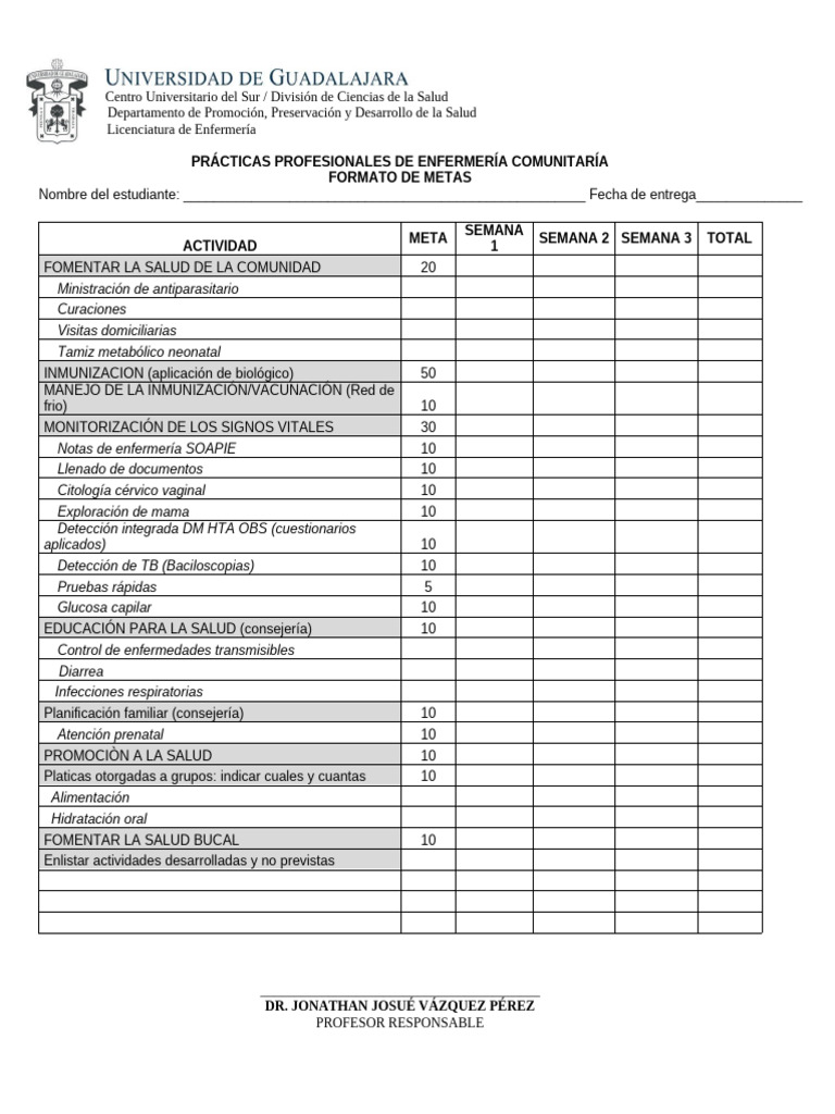 Formato de Metas Practicas Profesionales de Enfermería Comunitaria | PDF