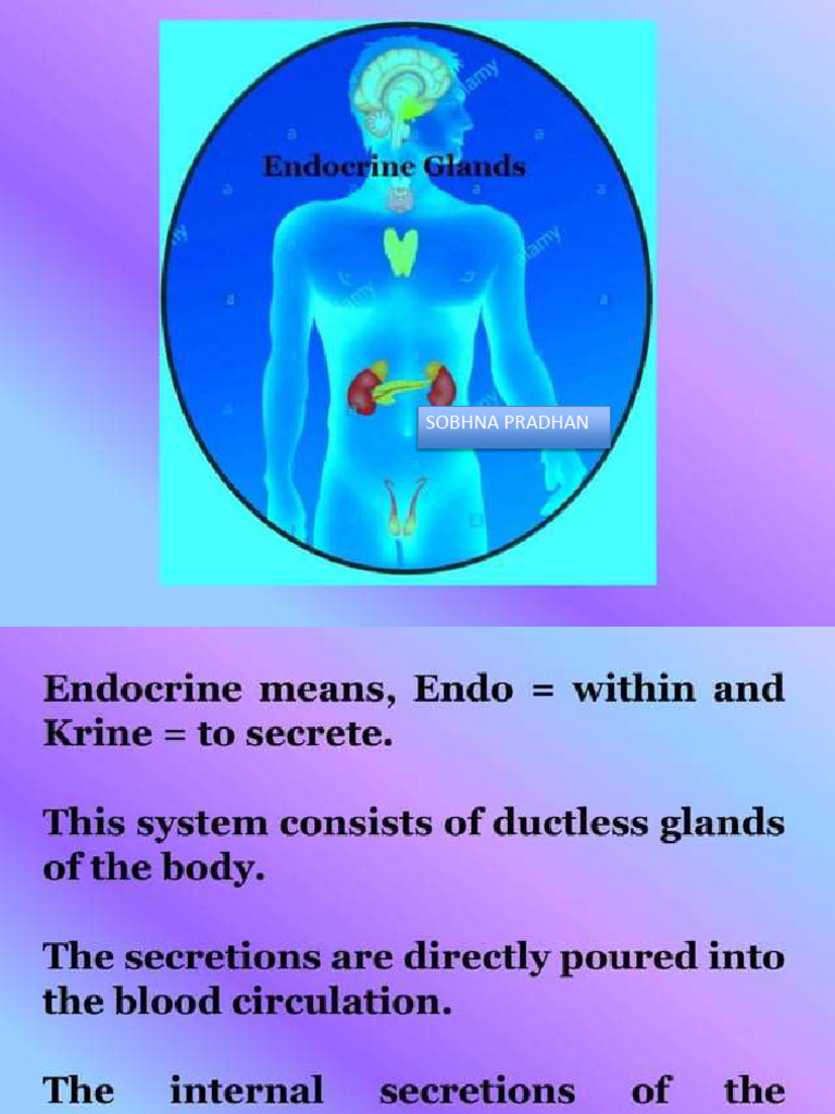 Endocrine Gland | PDF