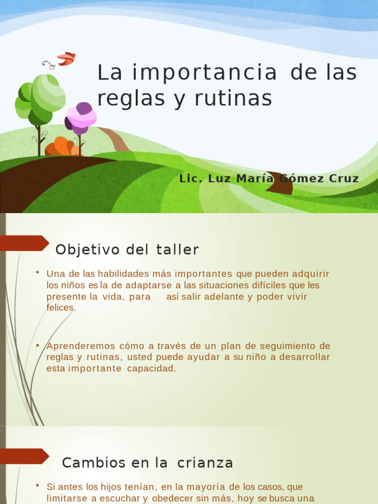 La Importancia de Las Reglas y Rutinas | PDF