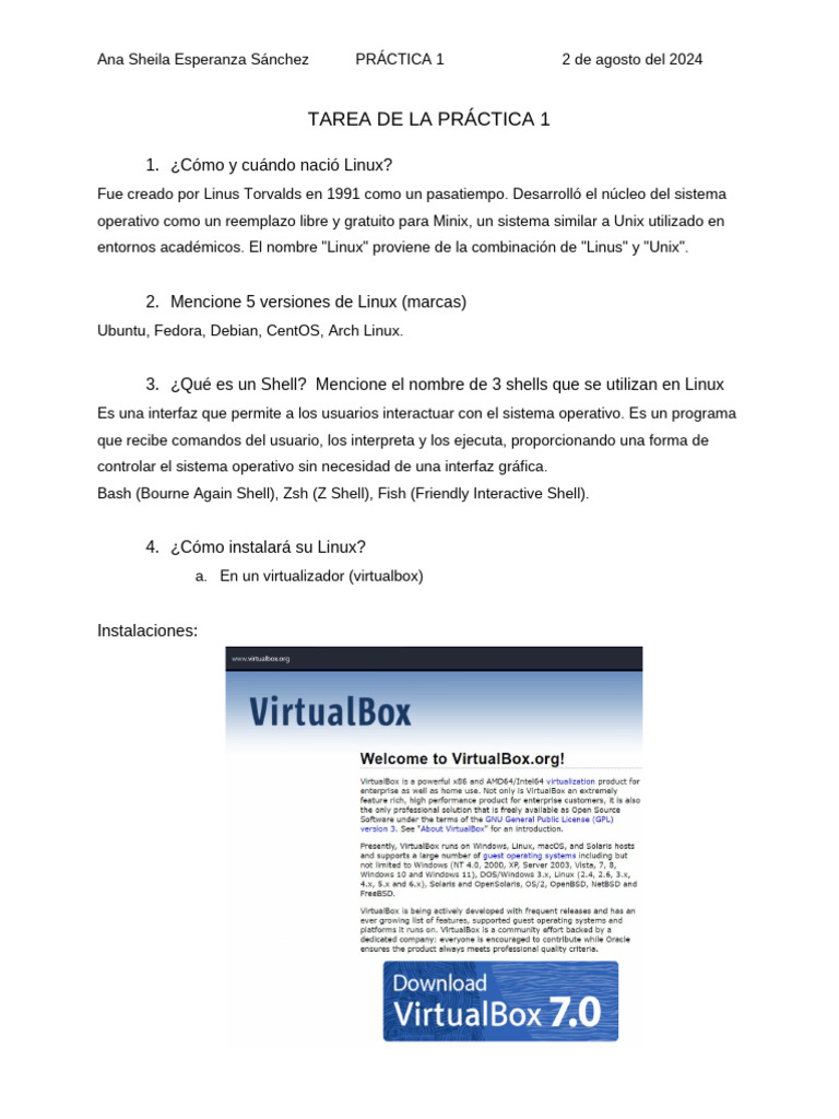 TAREA DE LA PRÁCTICA 01 | PDF