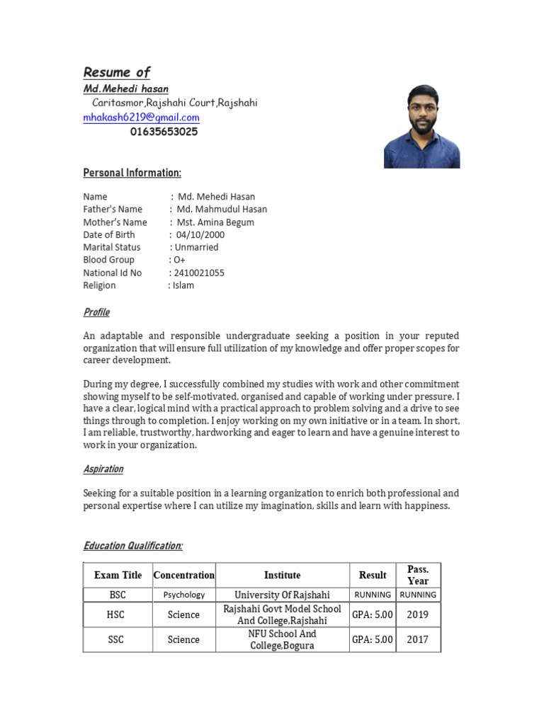 CV OF MEHEDI | PDF