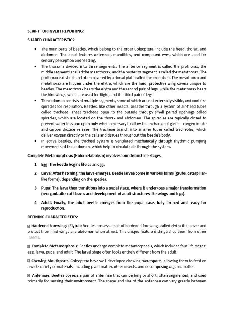 Script For Invert Reporting | PDF Script For Invert Reporting | PDF