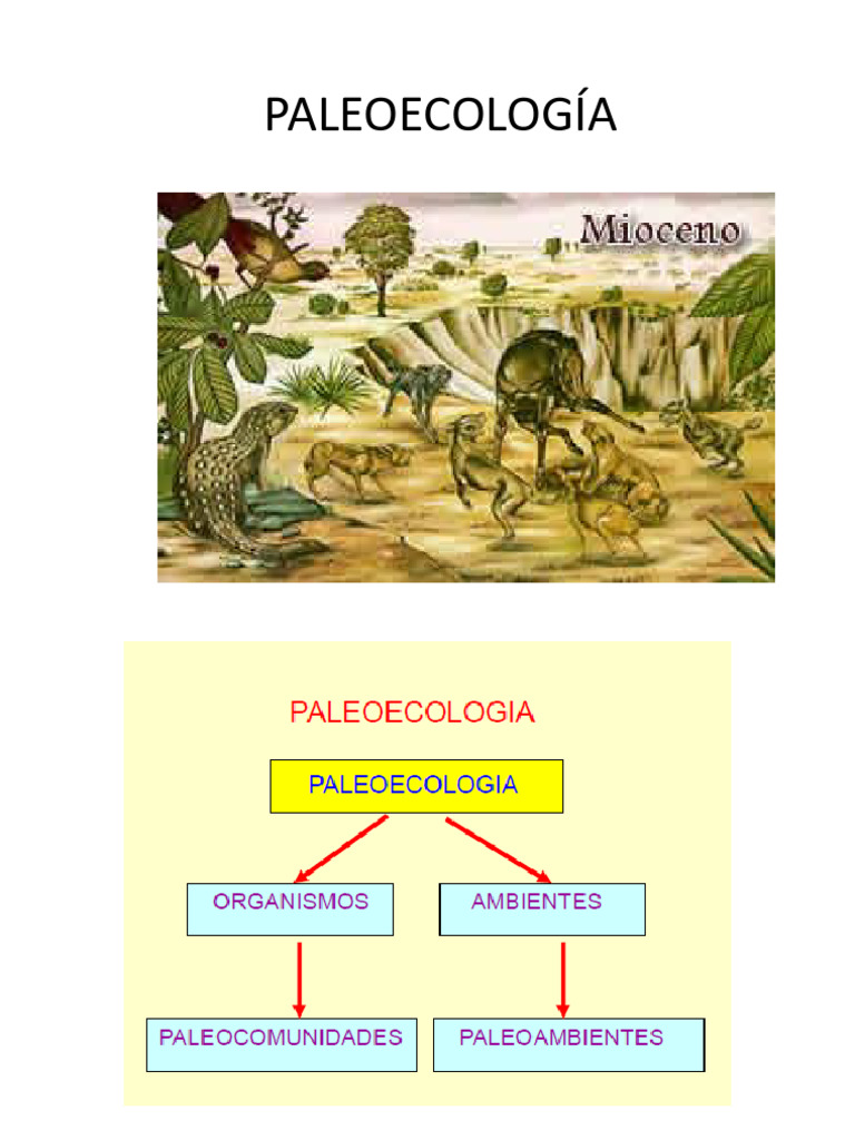 Paleoecología | PDF