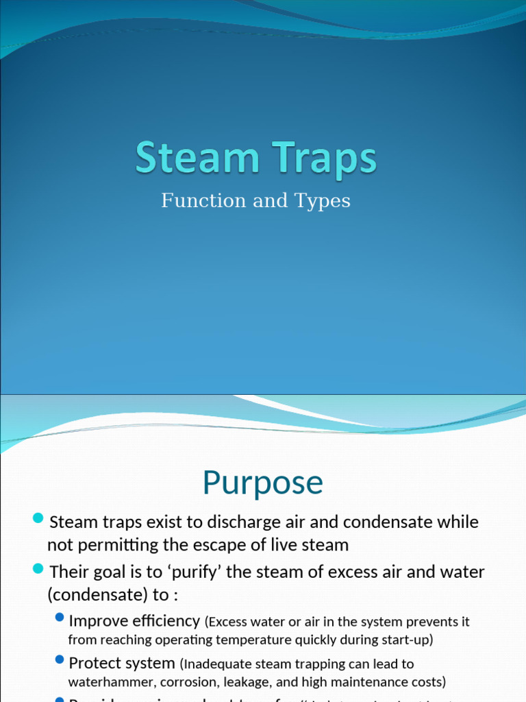 Steam Traps | PDF