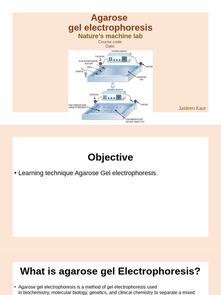 Exp. 7 Agarose Gel Electrophoresis | PDF