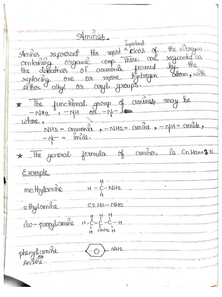 Amines Class 12 Notes... | PDF