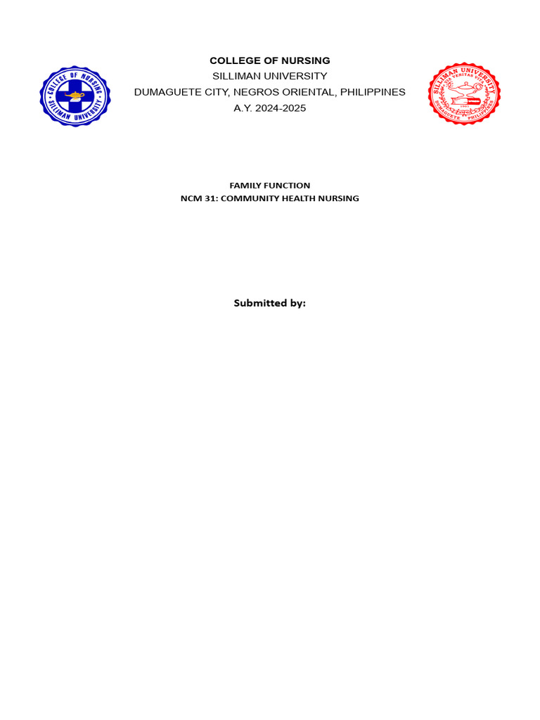 CHN 1 Family Function | PDF