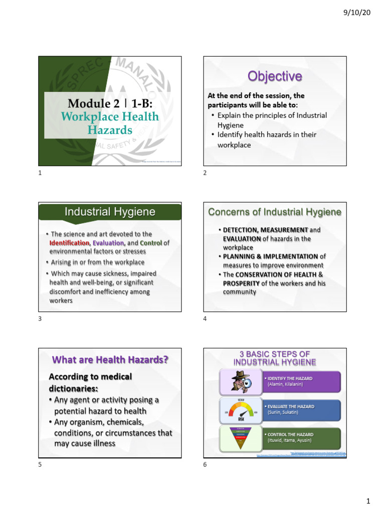 Workplace Health Hazards | PDF