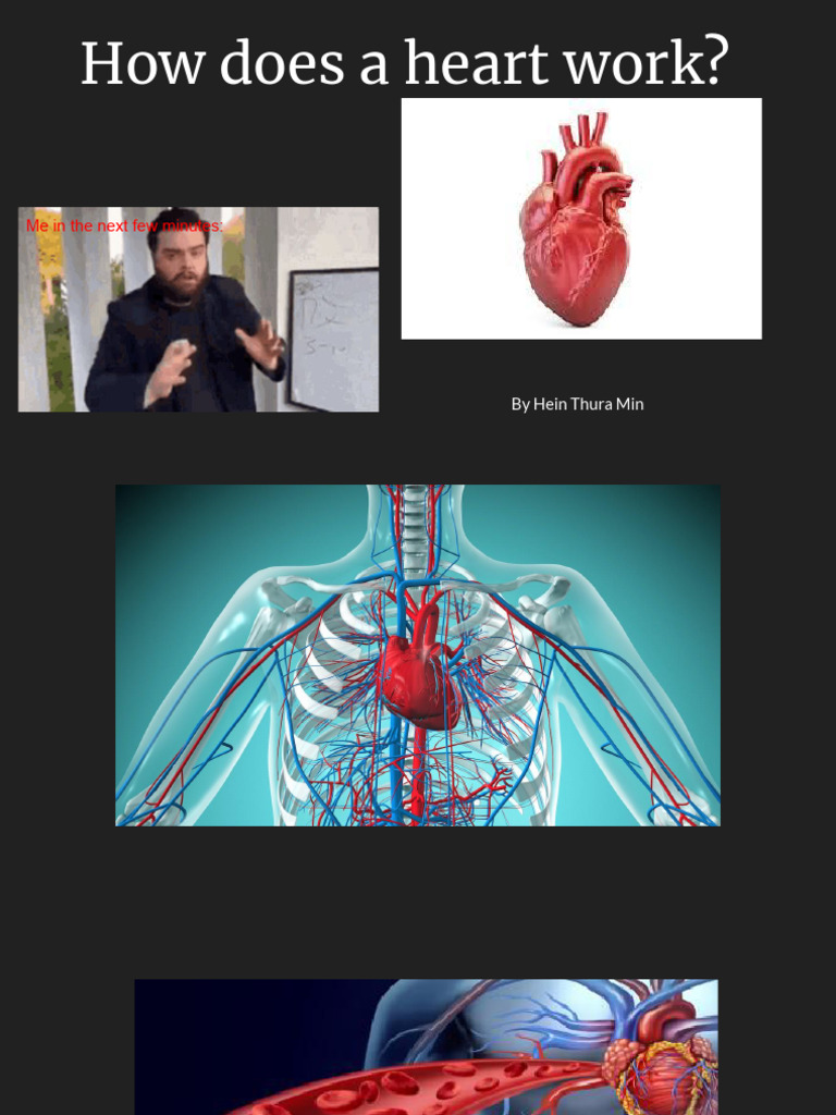 How does a heart work_ | PDF