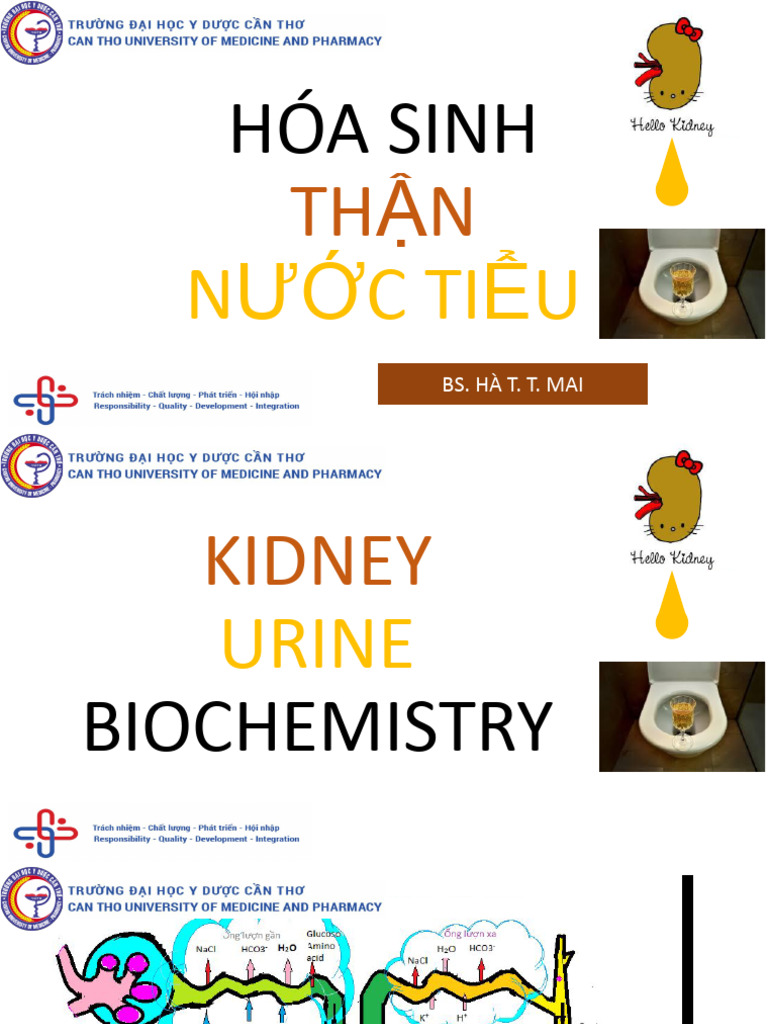 Mai Hoa Sinh Than Nuoc Tieu Nhan Dang Thuong Hieu | PDF