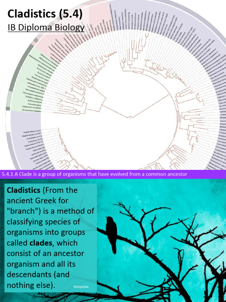 Cladistics (5.4) | PDF
