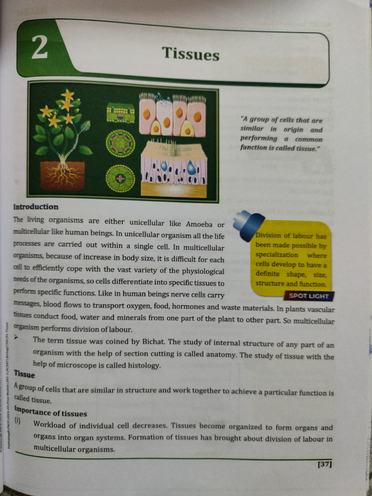Allen Class IX Biology | PDF