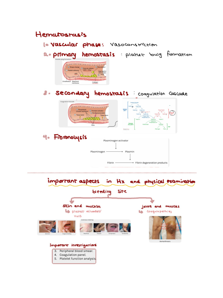 Hematology Disorders ??? | PDF