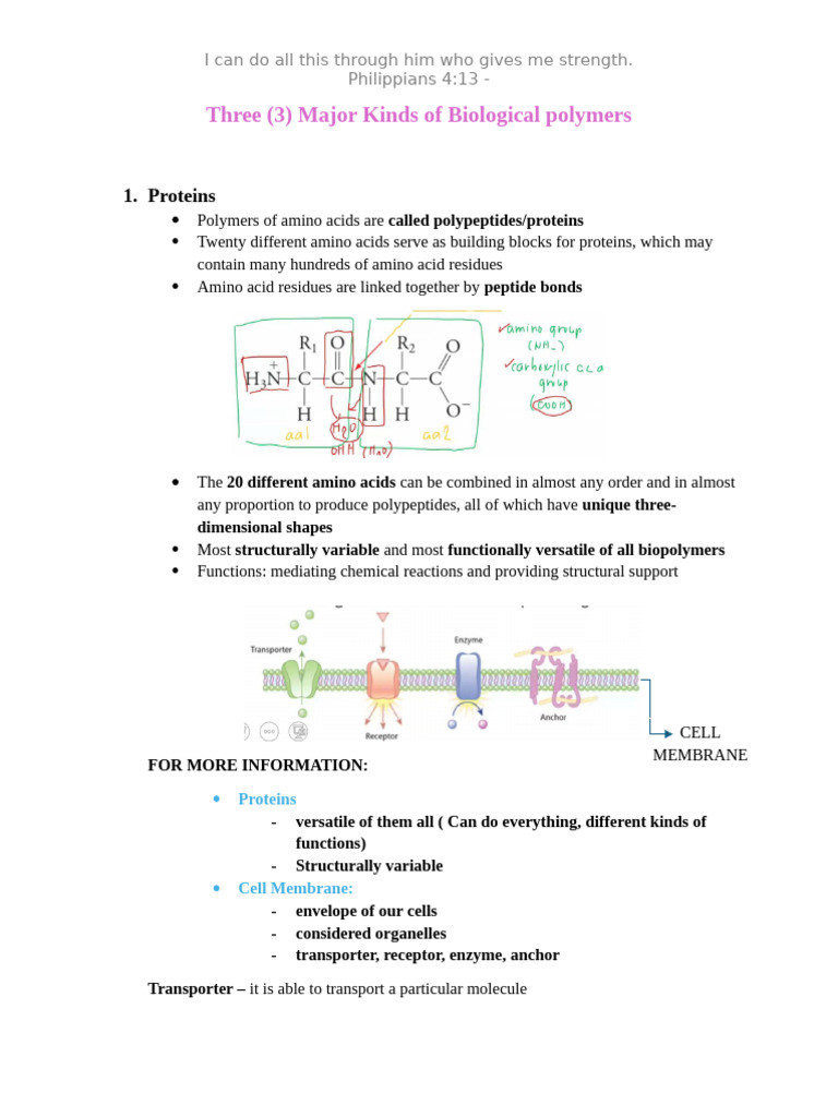 Biochem Aug 15 2024 Reviewer | PDF