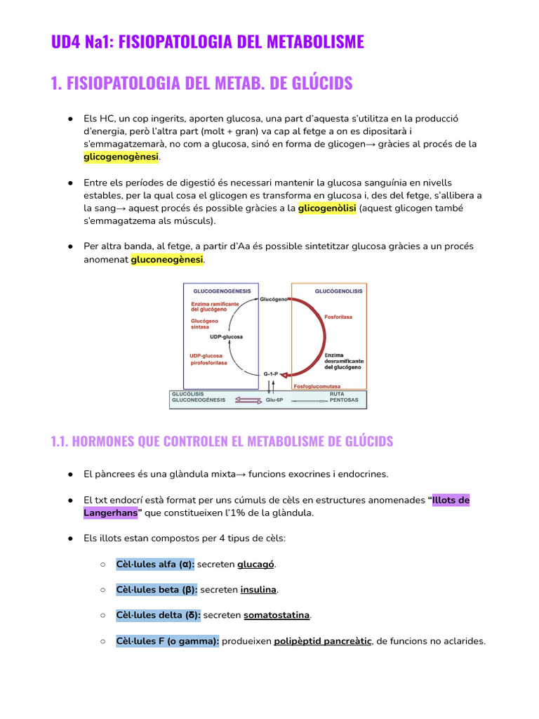 UD4 Na1 FISIOPATOLOGIA DEL METABOLISME | PDF