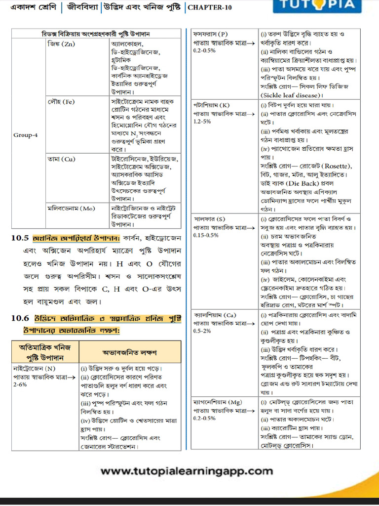 Document-WPS Office 2 | PDF