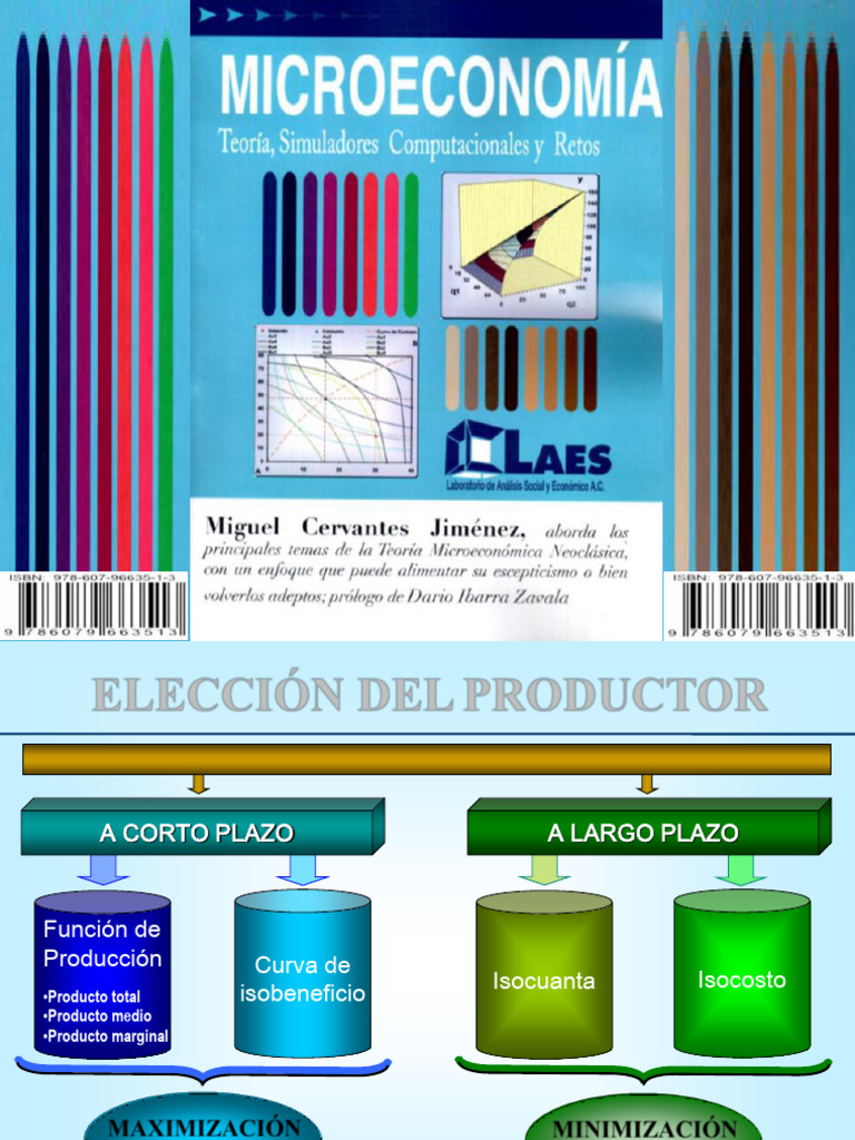 Micro 13 Funcionproduccioncp | PDF