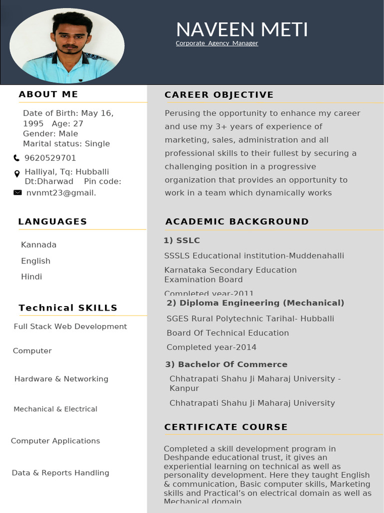 My CV - Updated | PDF