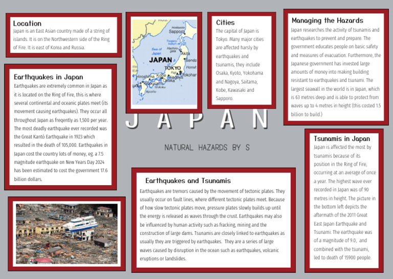 Country Infographic | PDF