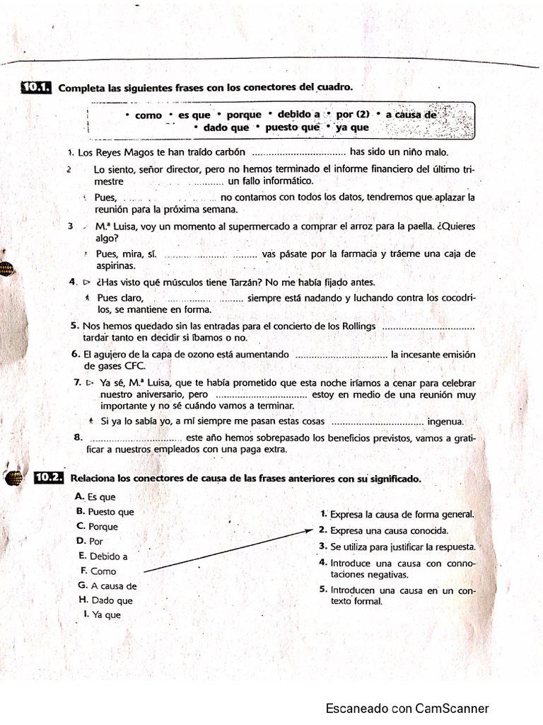 Causales Prisma | PDF