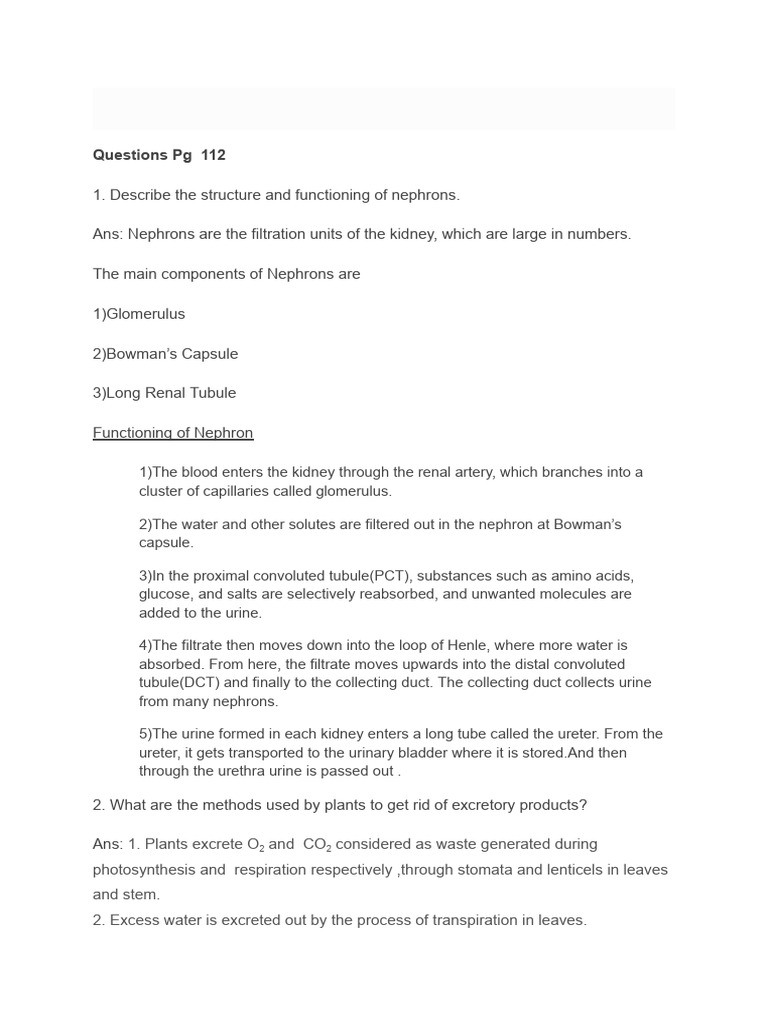 Excretion Class 10 | PDF