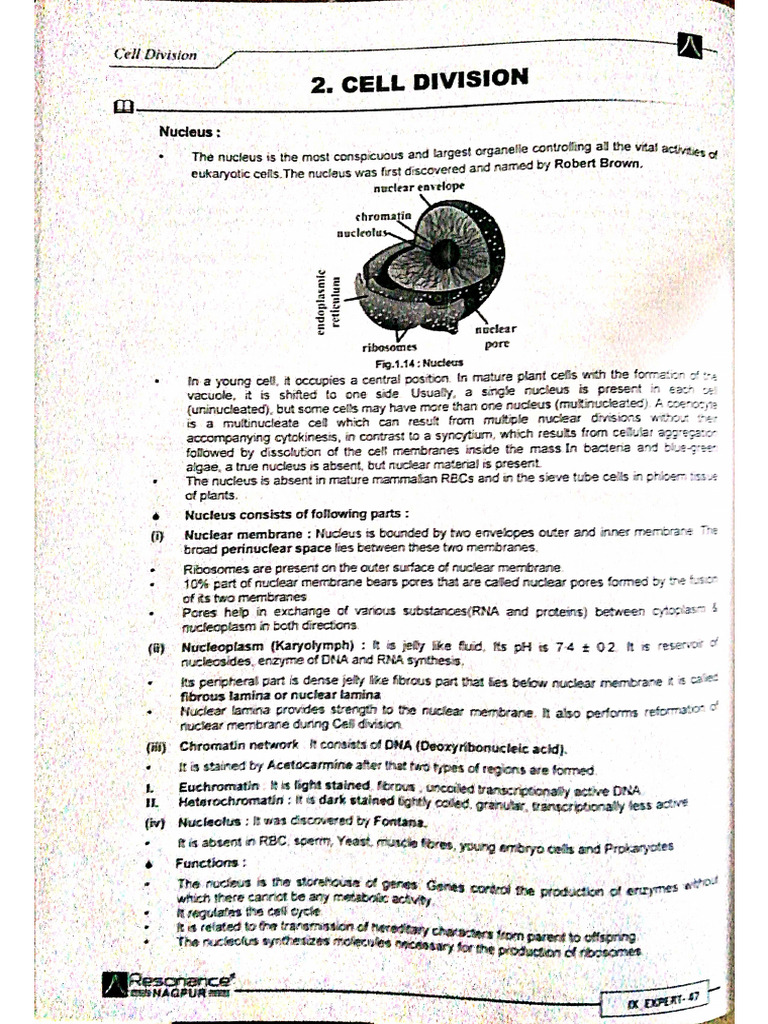 Biology | PDF