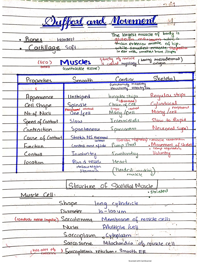 Support and Movements Notes Combined | PDF