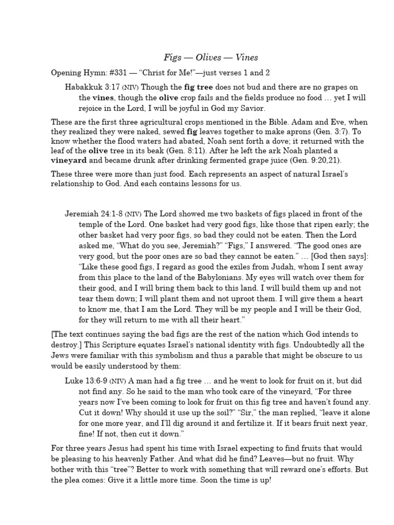 Fig Tree Vines Olive | PDF