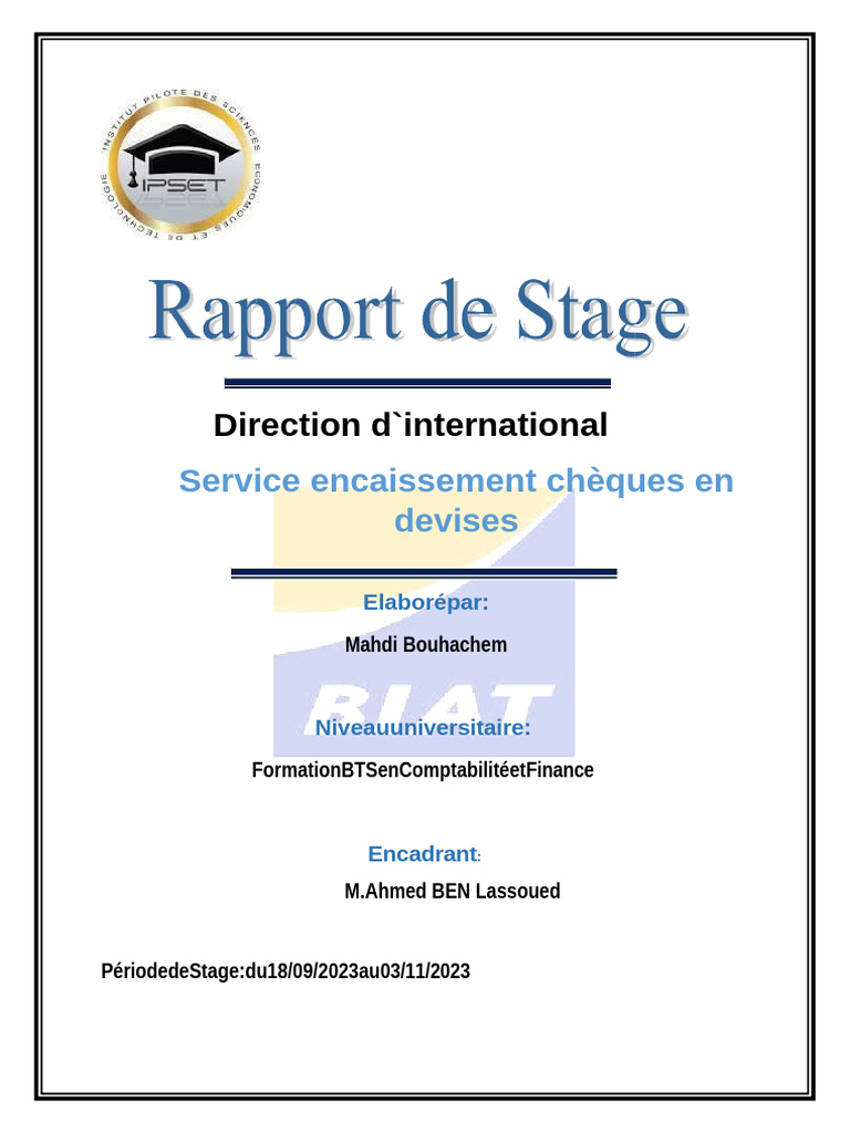 Rapport BIAT | PDF