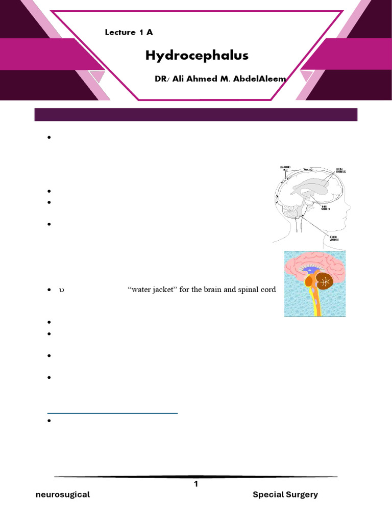 Hydrocephalus New 2024 | PDF