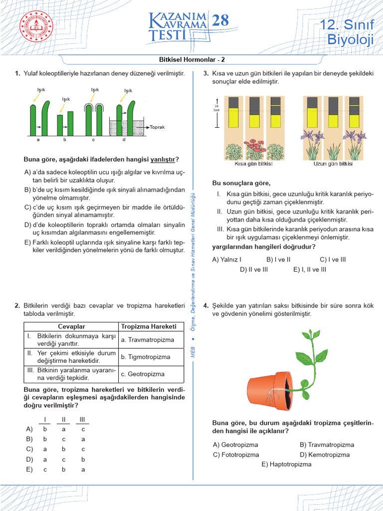 Sınıf Biyoloji Biyoloji: Bitkisel Hormonlar - 2 | PDF
