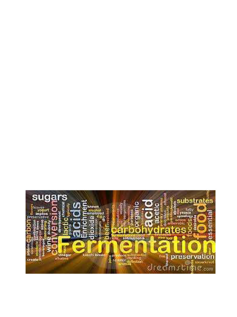 1814 - Fermentation Process | PDF | Fermentation | Biology