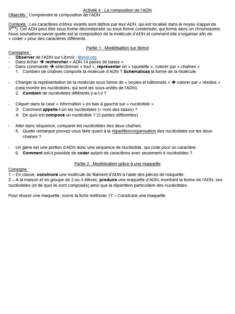 Activité 4 ADN - Libmol Et Maquette | PDF