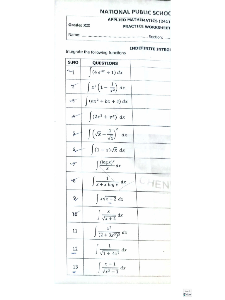 NPS Integration Worksheet | PDF