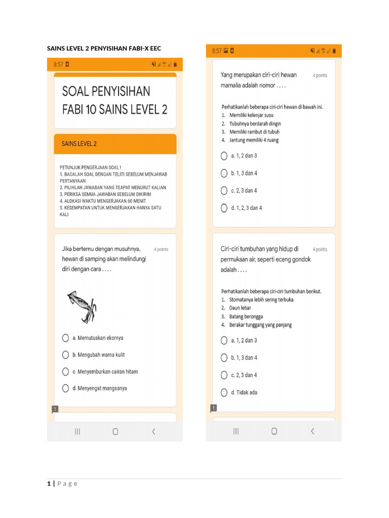 Sains Level 2 Penyisihan Fabi | PDF