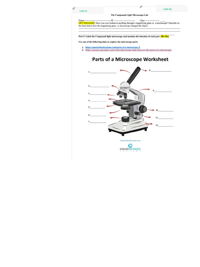 BIO40A Light Microscope Lab | PDF | Science & Mathematics