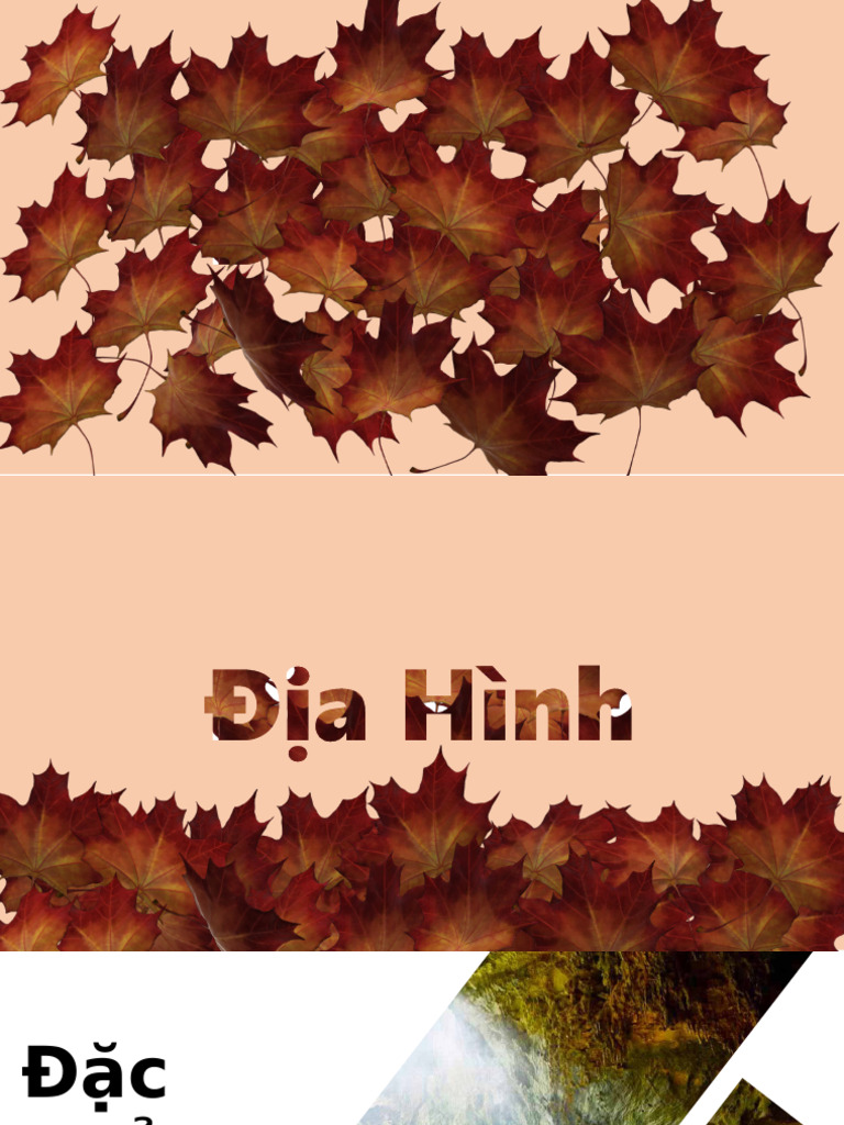 Presentation2 (Autosaved) | PDF