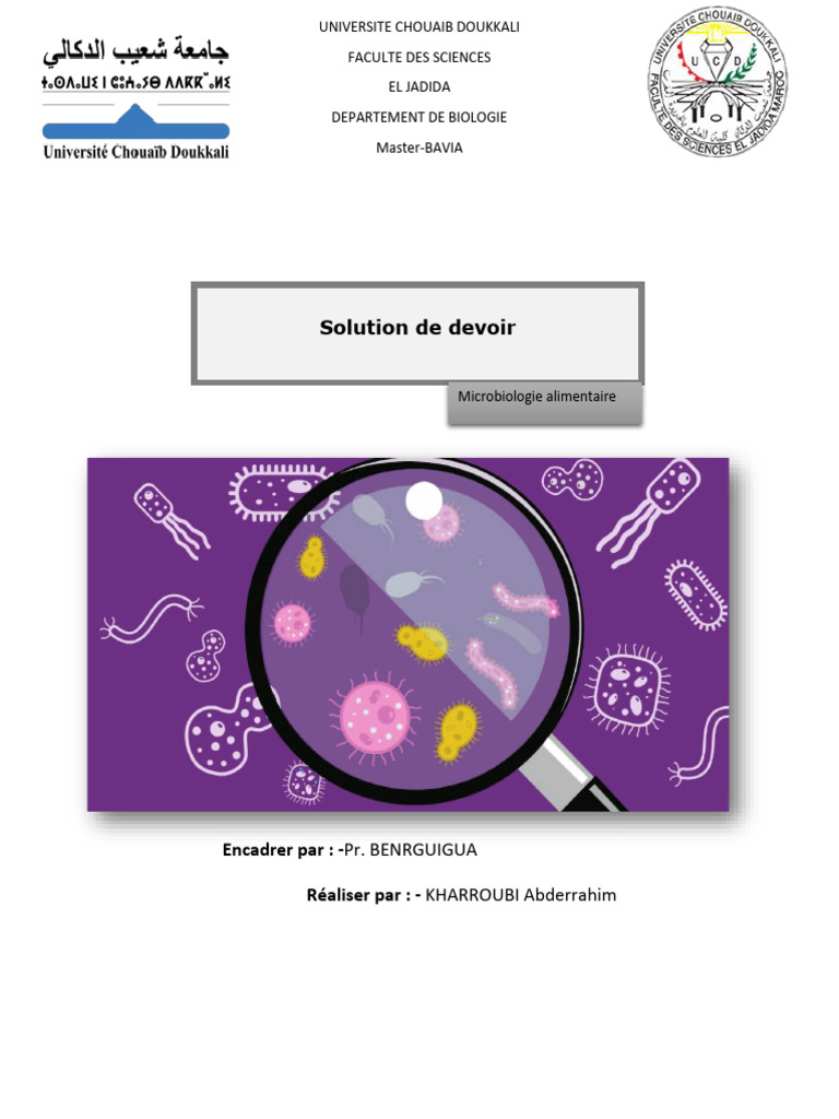 Devoir (Abderrahim Kharroubi) | PDF