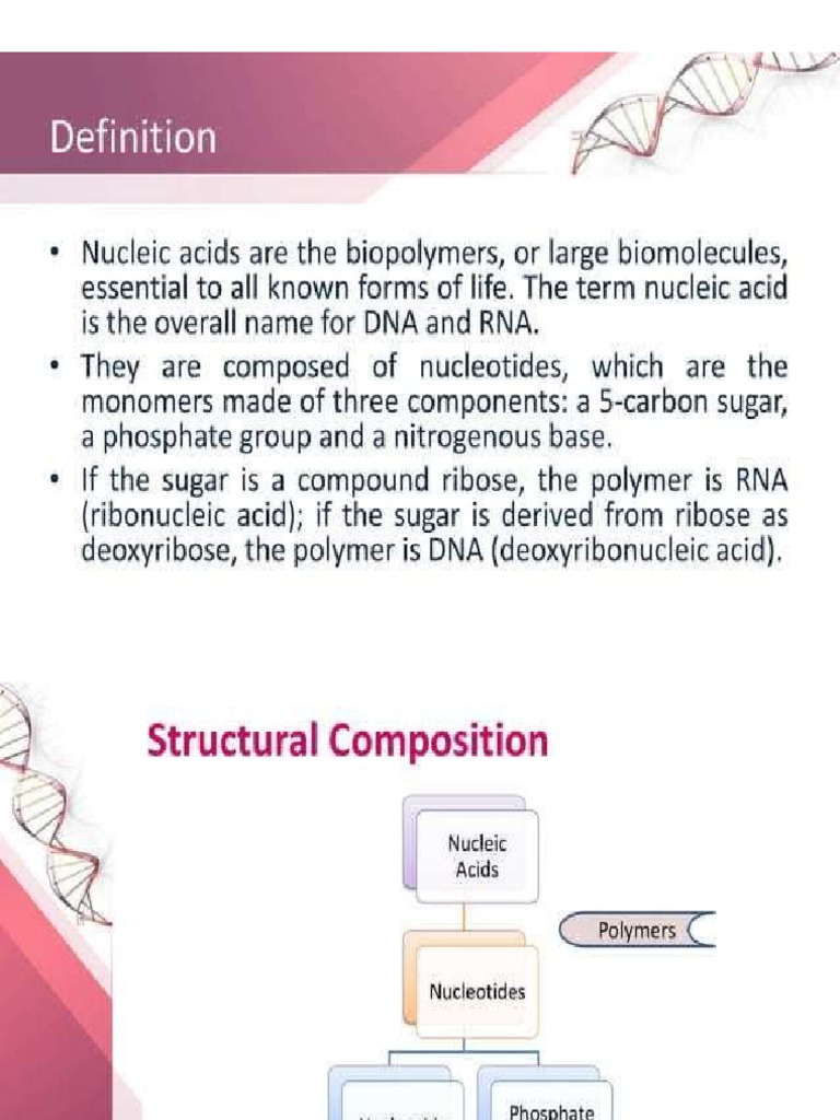 Nucleic Acids Chemistry | PDF