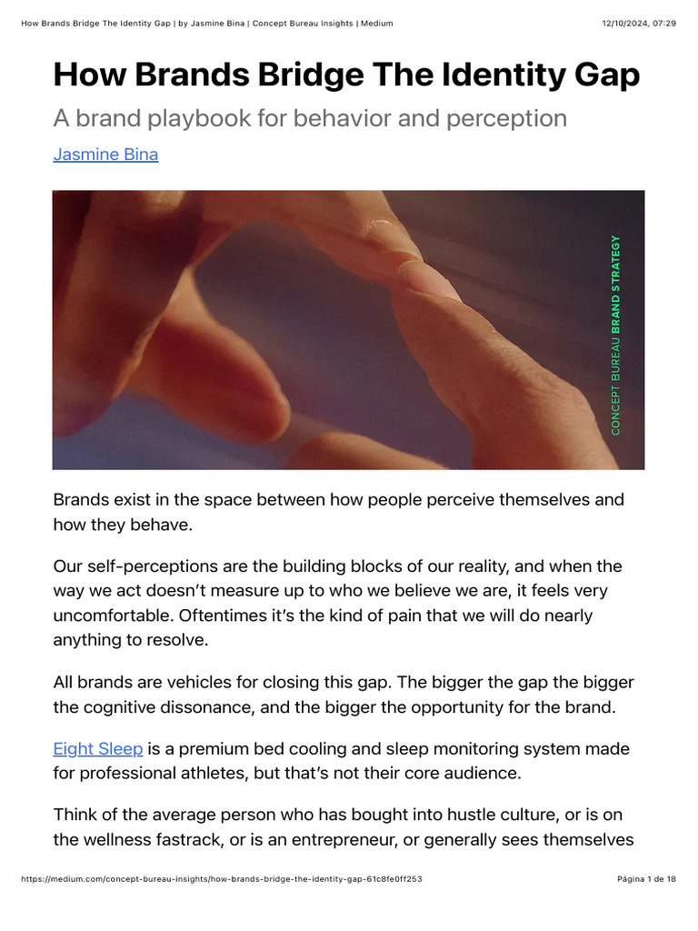 How Brands Bridge The Identity Gap - by Jasmine Bina - Concept Bureau ...