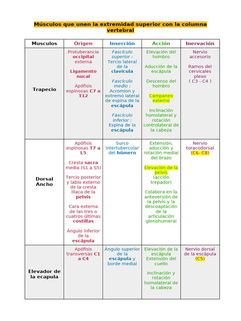 Tableau Origine Et Insertion | PDF