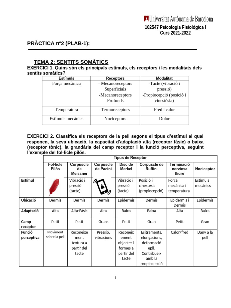 Protocol PLAB1 Grups 1 I 2 | PDF