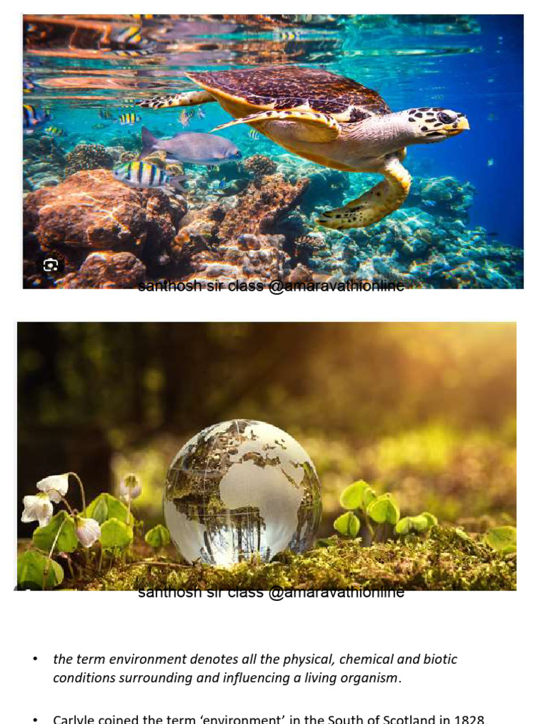 ECOSYSTEM NAD BIODIVERSITY new test paper | PDF